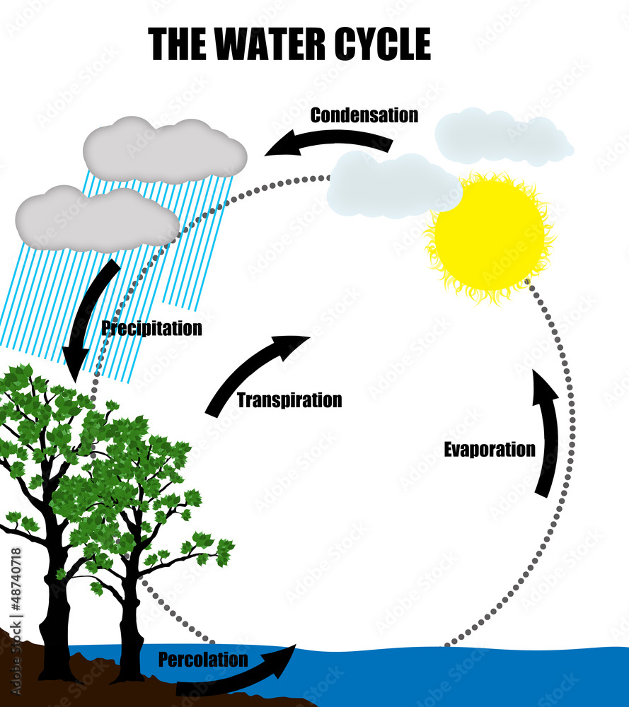 Schematic Representation Of The Water Cycle In Nature Stock Vector schematic-representation-of-the-water-cycle-in-nature-stock-vector