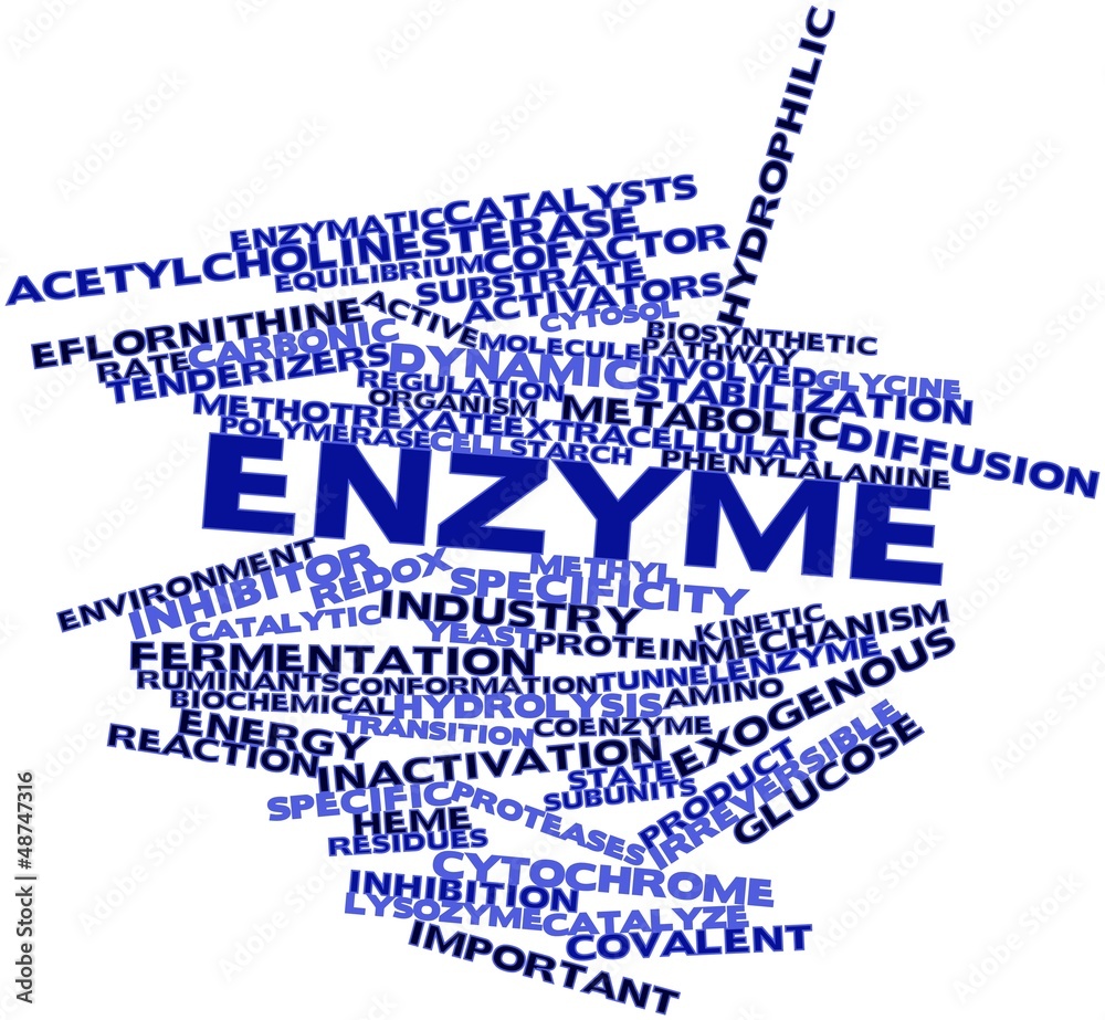 Word cloud for Enzyme Stock Illustration | Adobe Stock
