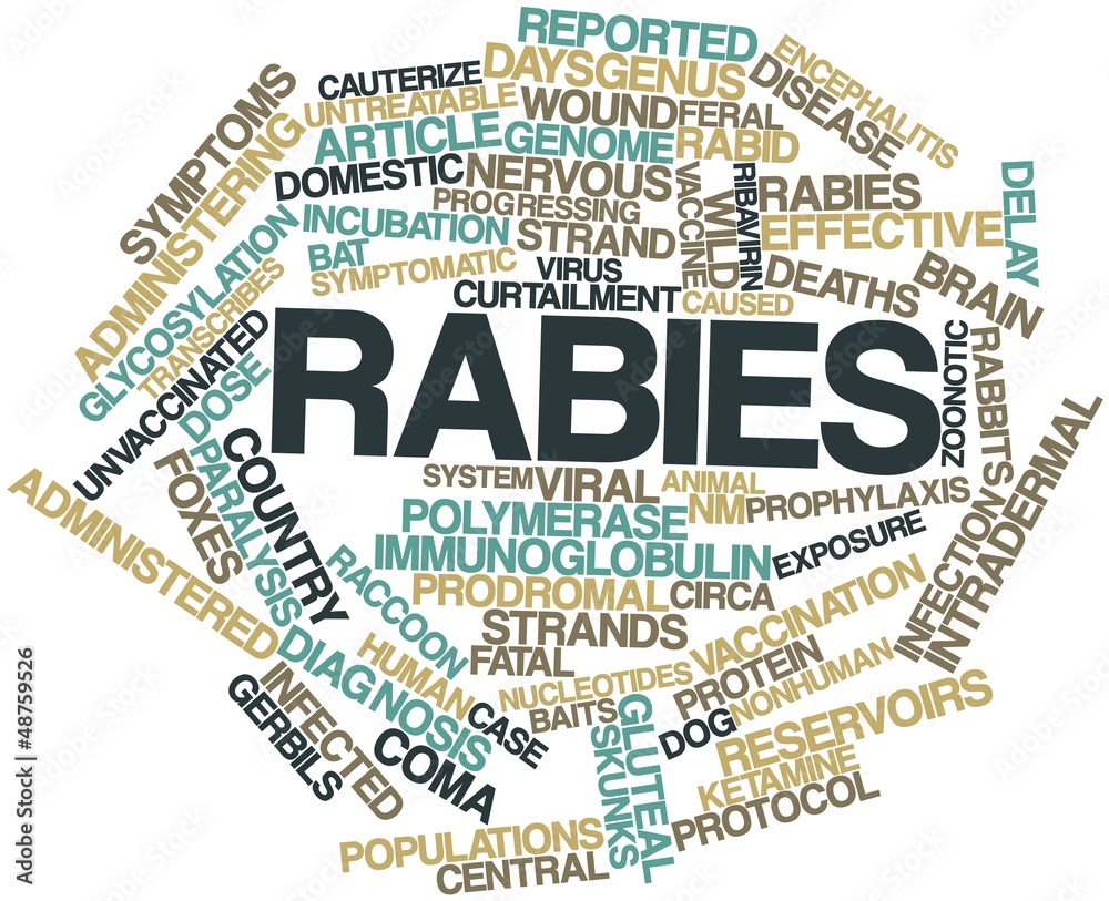 Word cloud for Rabies Stock Illustration | Adobe Stock