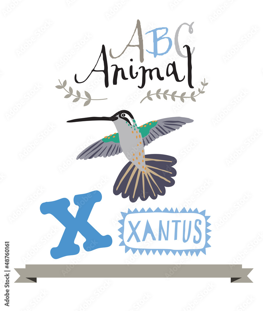 Xantis Clipart