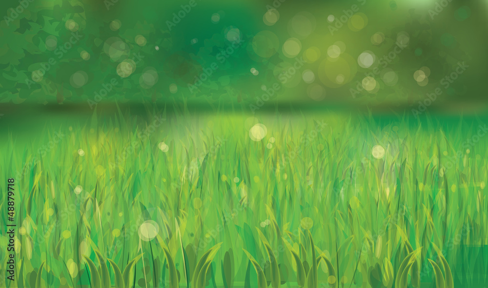 Vector of spring background with green grass. Stock Vector | Adobe Stock