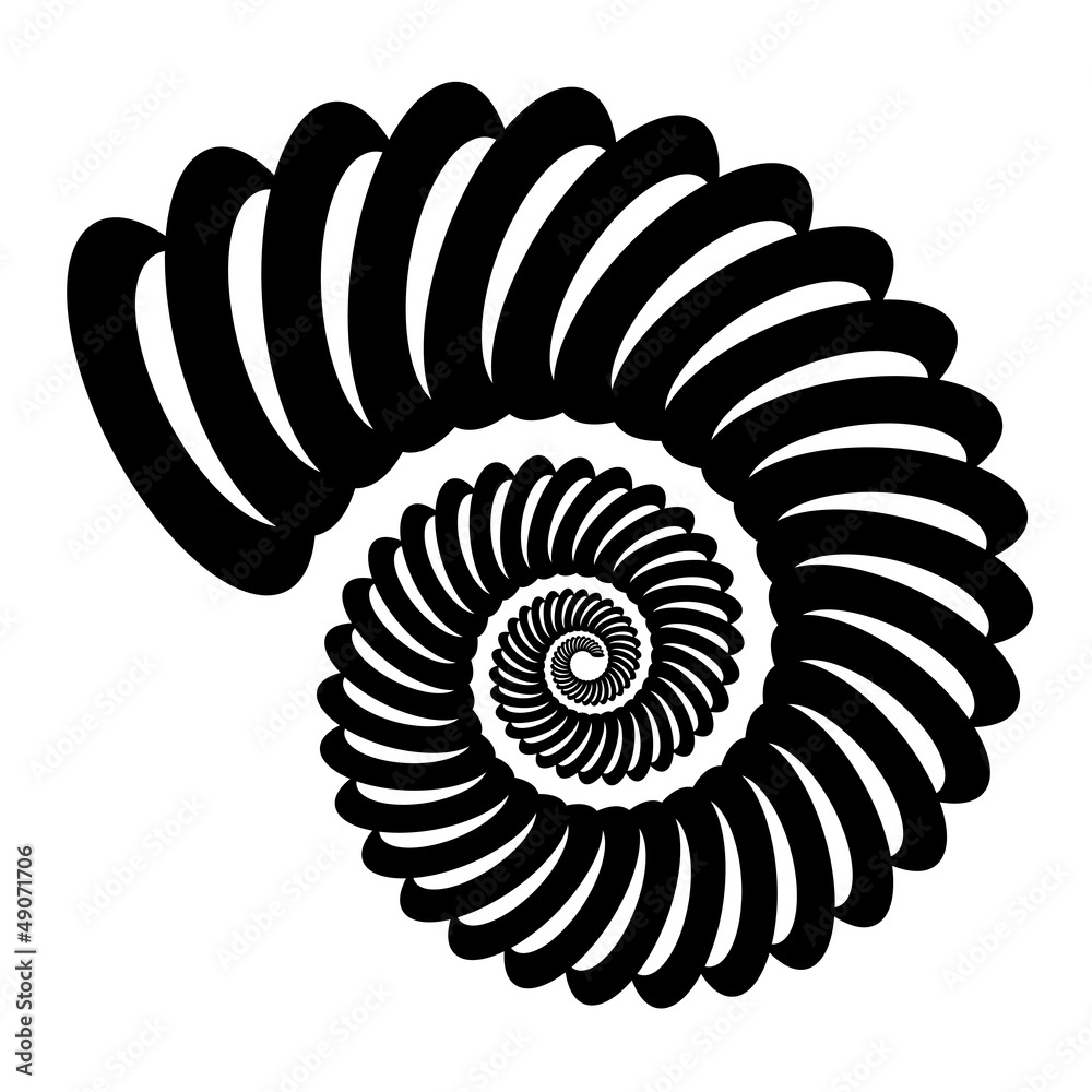 vector shell silhouette Stock Vector | Adobe Stock