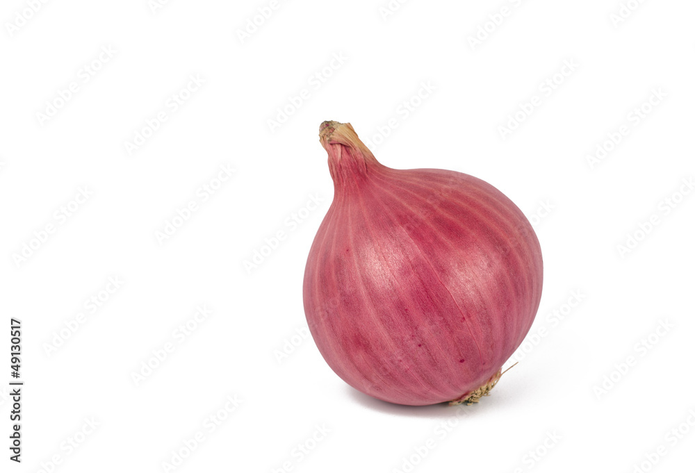 Single Onion