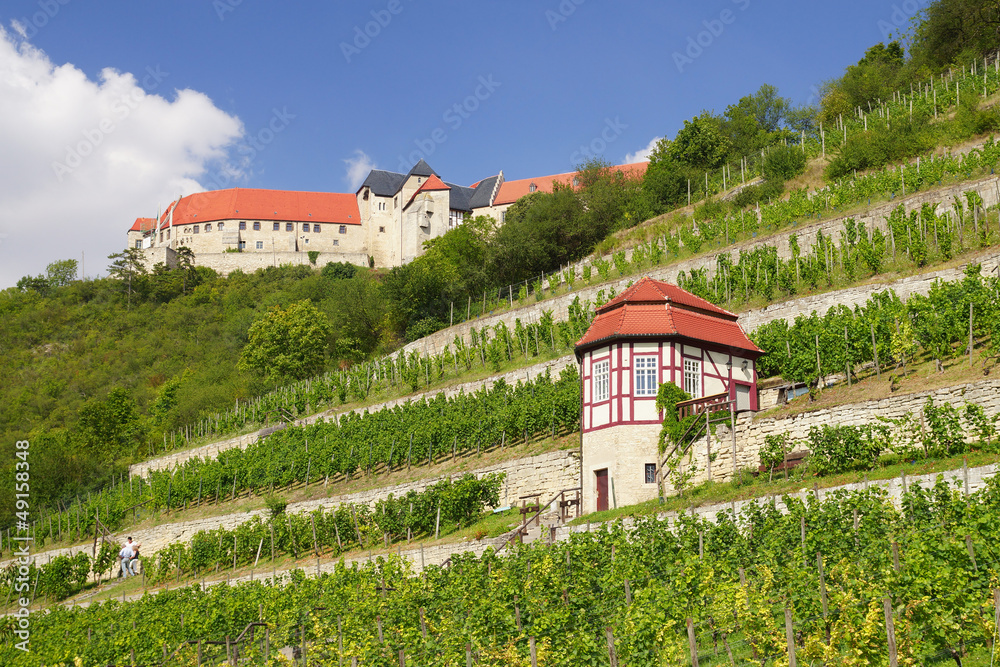 Freyburg, Neuenburg, Weinberg, Vineyard at Freyburg Stock-Foto | Adobe ...