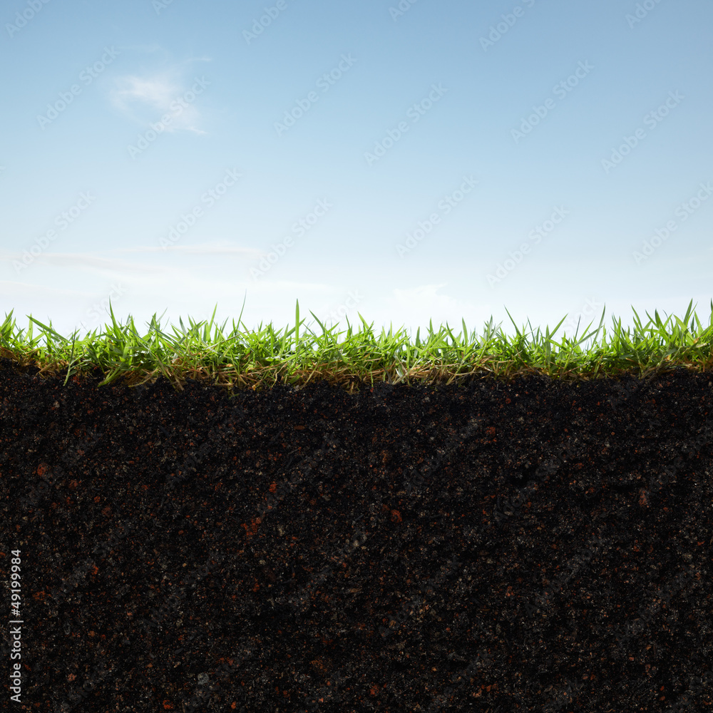 grass and soil Stock Photo | Adobe Stock