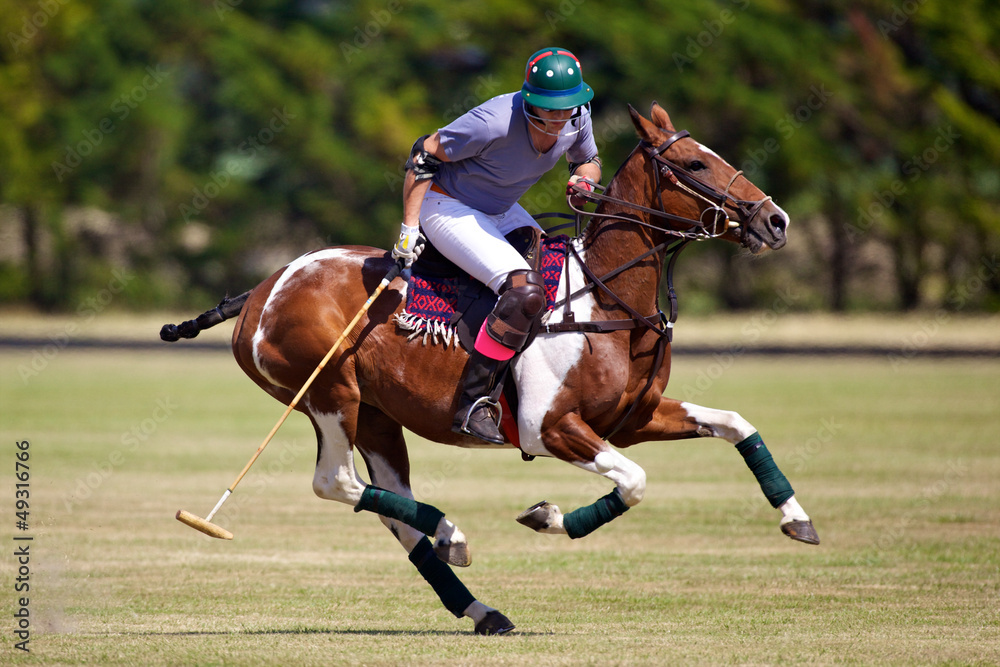joueur de polo à cheval Stock-Foto | Adobe Stock