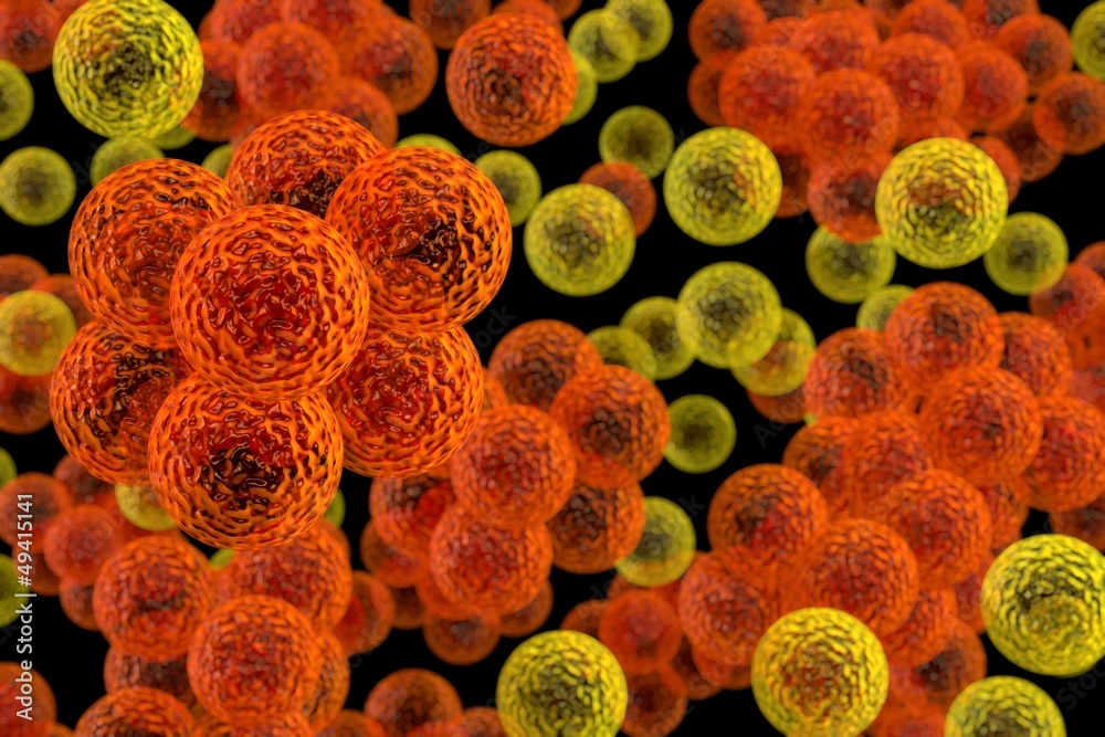 cocci Stock Illustration | Adobe Stock