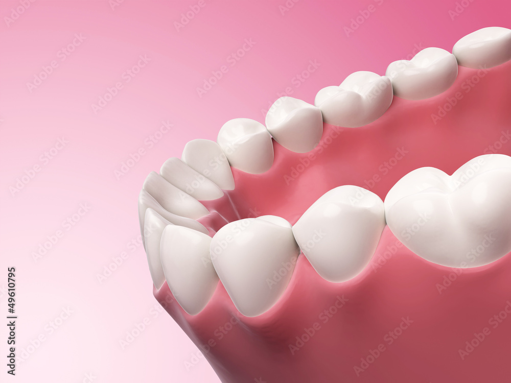3d rendered illustration - lower teeth Stock Illustration | Adobe Stock