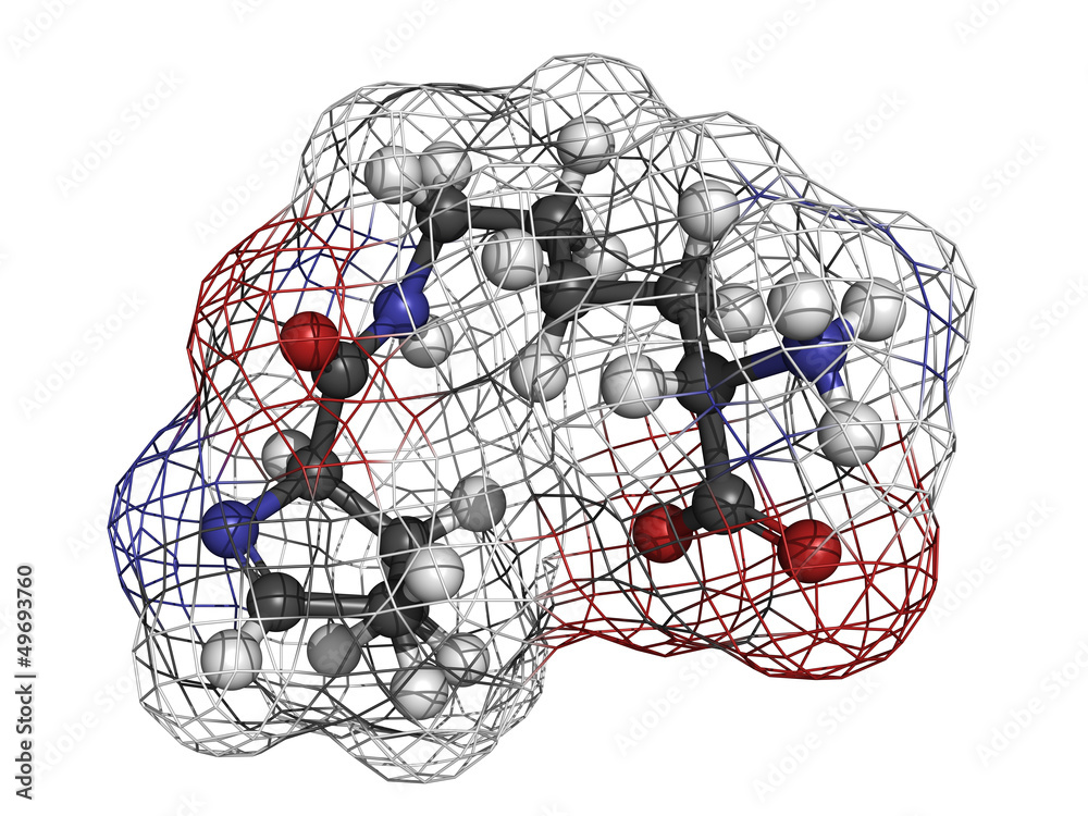 Pyrrolysine (Pyl, O) amino acid, molecular model. Stock Illustration ...