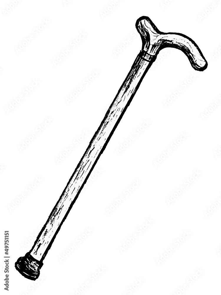 hand drawn, vector cartoon image of walking stick Stock Vector | Adobe ...