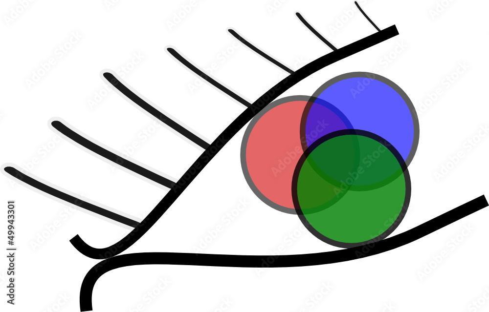 occhio stilizzato con cerchi colorati Stock Vector | Adobe Stock