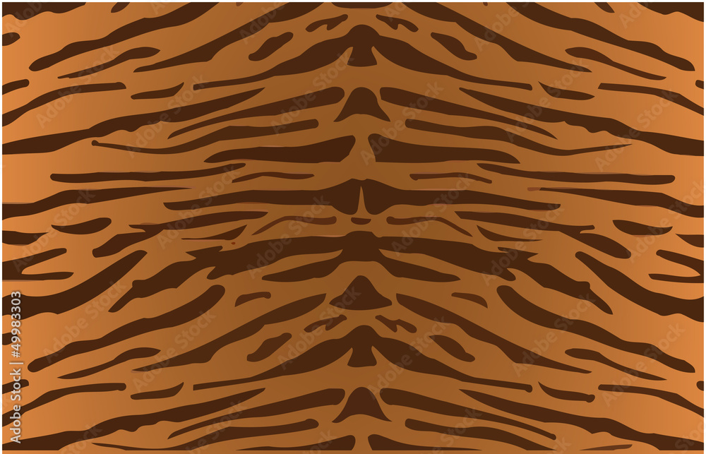 disegno tigrato Stock Vector | Adobe Stock