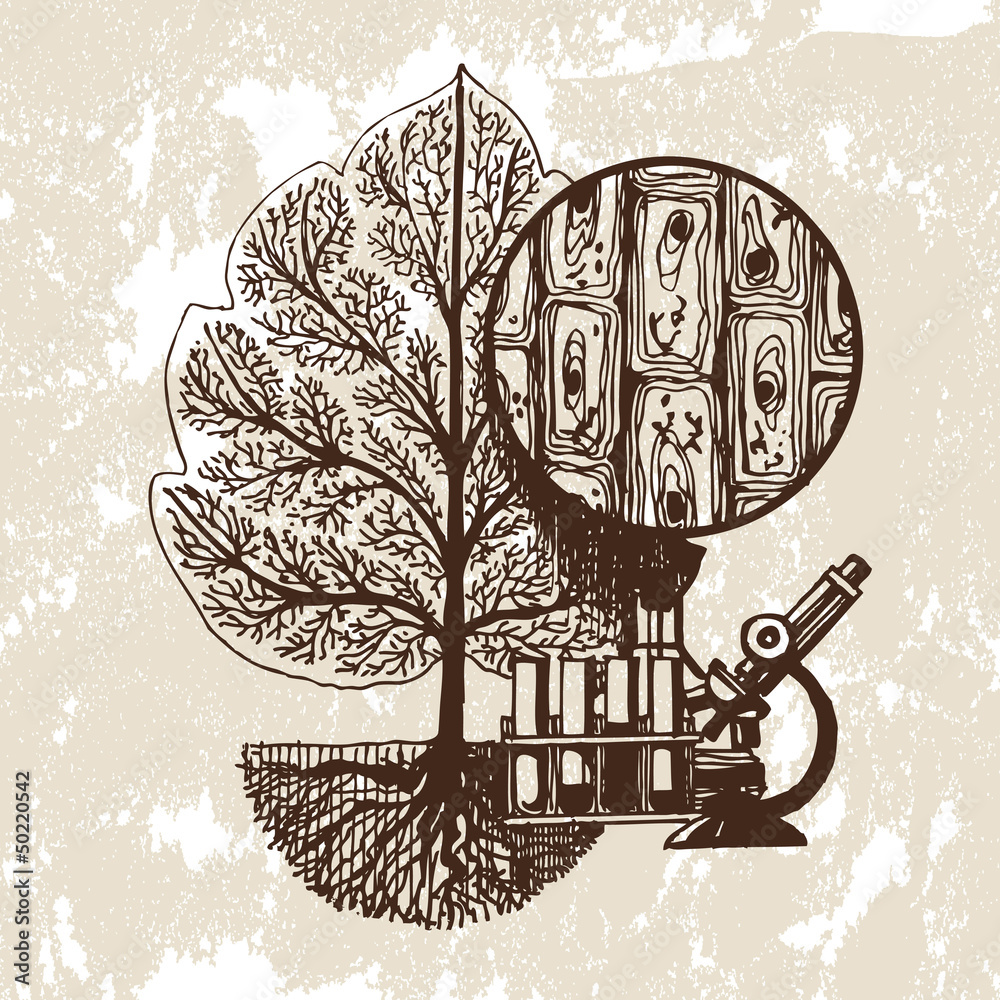 Biology. Vector illustration Stock Vector | Adobe Stock