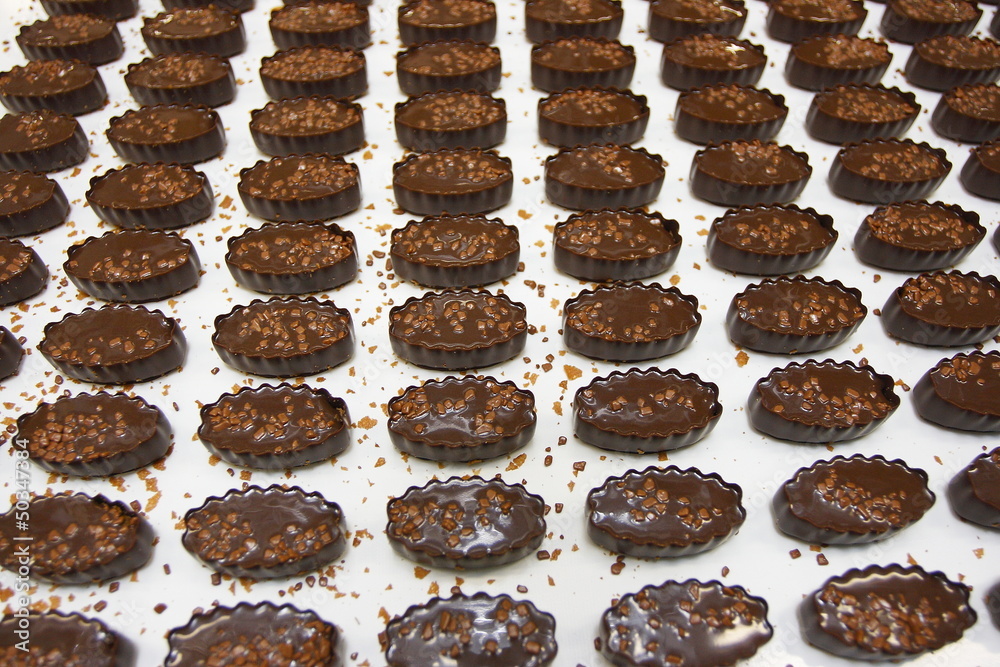 Sweets on a chocolate factory conveyor Stock Photo | Adobe Stock