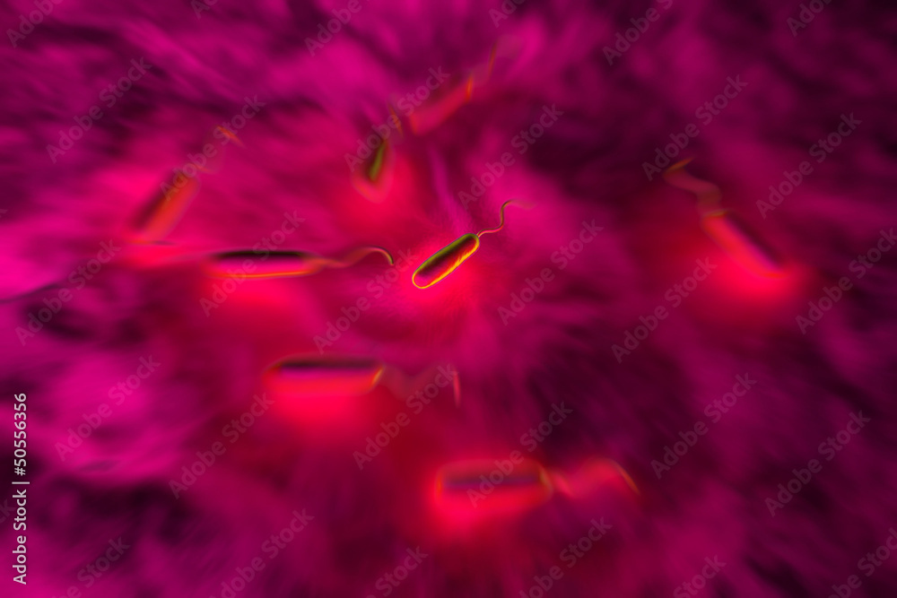 Gram-negative rod-shaped bacteria have a single polar flagellum Stock ...