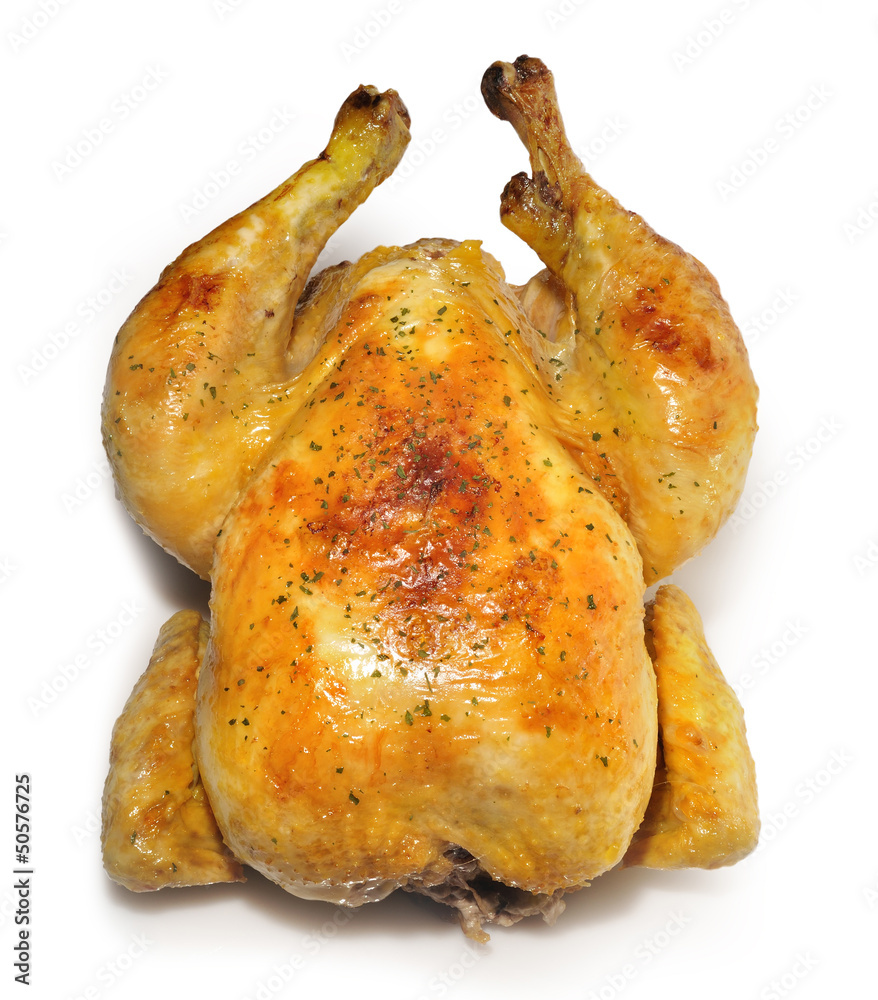 Pollo. foto de Stock | Adobe Stock