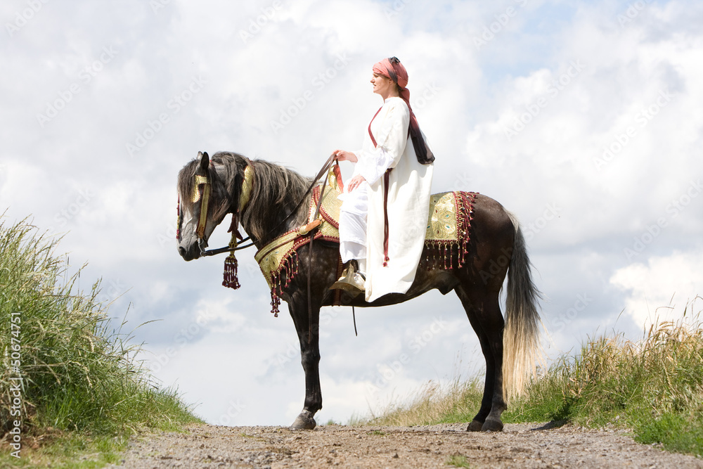 Berber Pferd Stock-Foto | Adobe Stock