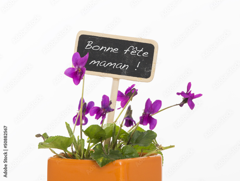 bonne fête maman Stock Photo | Adobe Stock