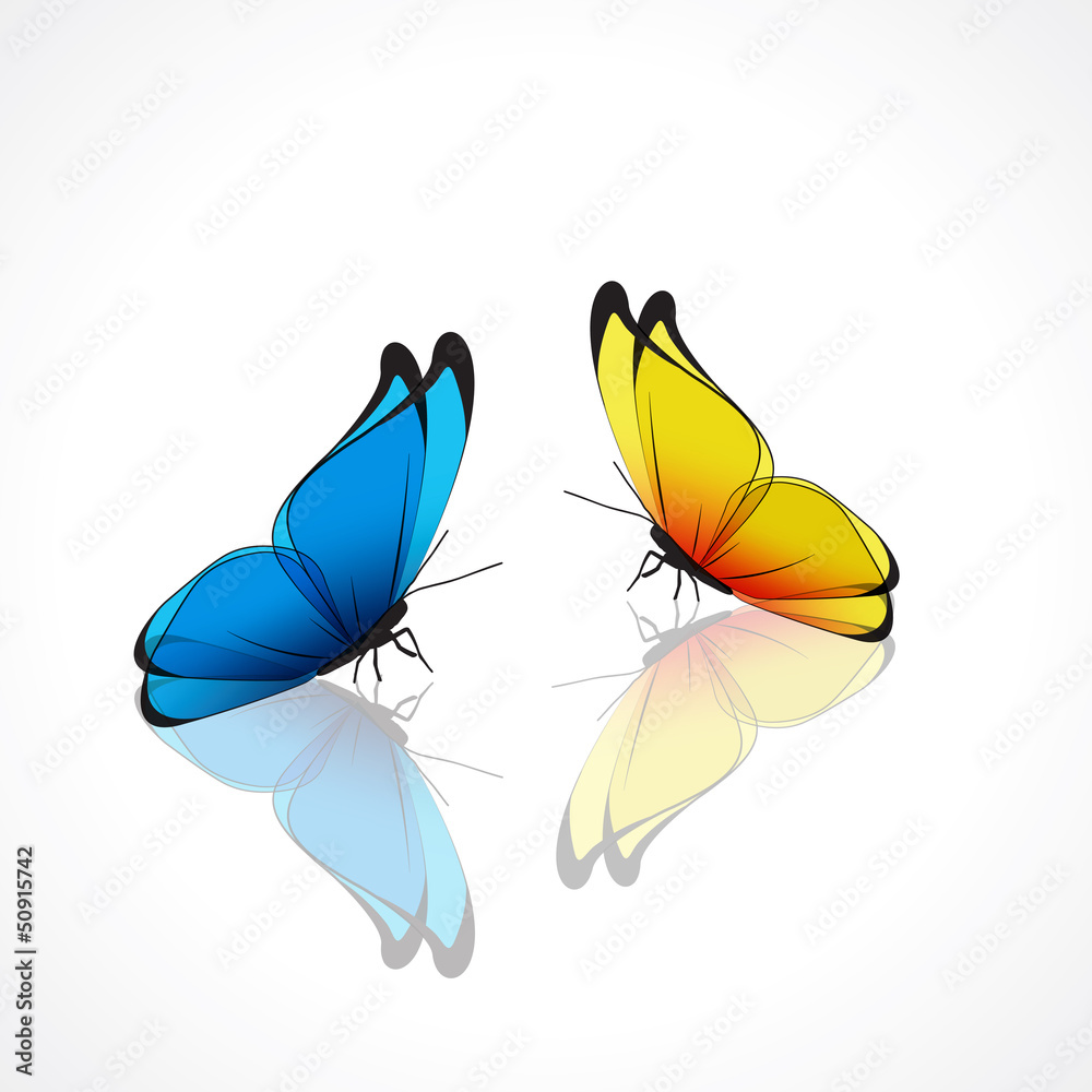 Vecteur Stock Duo de papillons | Adobe Stock