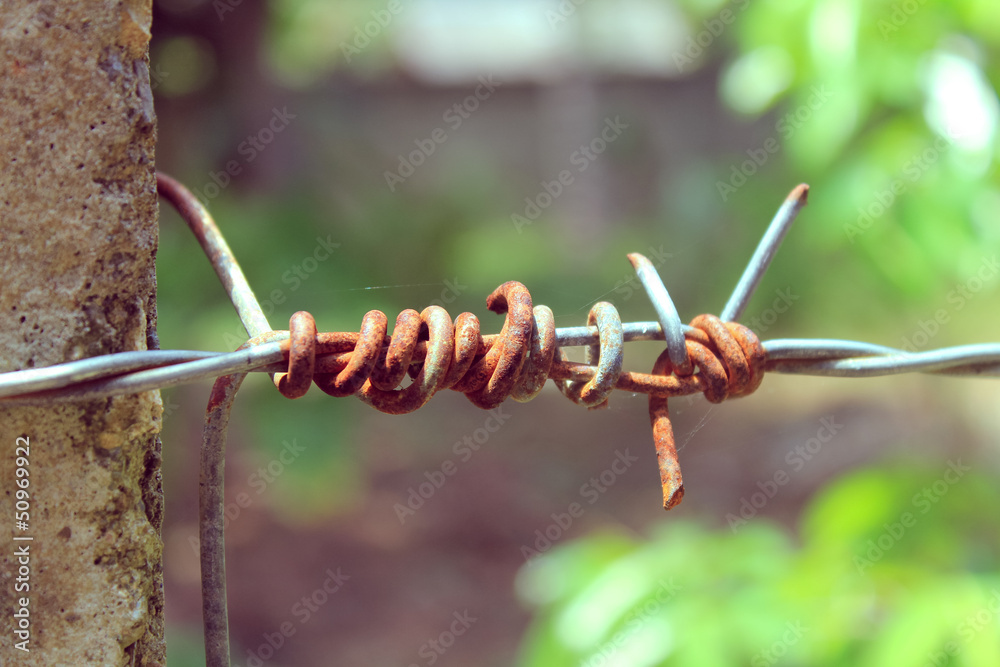 Barbed wire Stock Photo | Adobe Stock