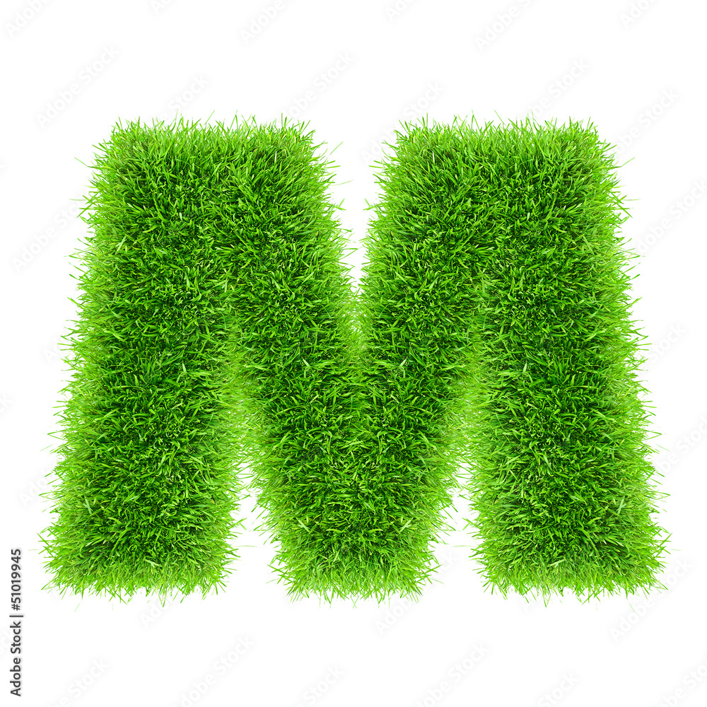 letter of grass alphabet Stock Illustration | Adobe Stock