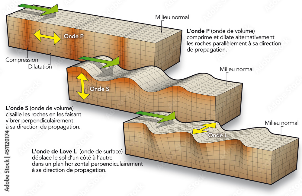 Seismes - Les différents types d'ondes P, S, L [lég] Stock Illustration ...