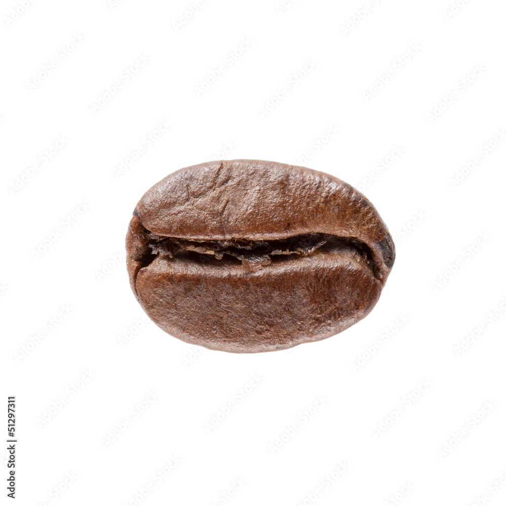 Single Coffee Bean