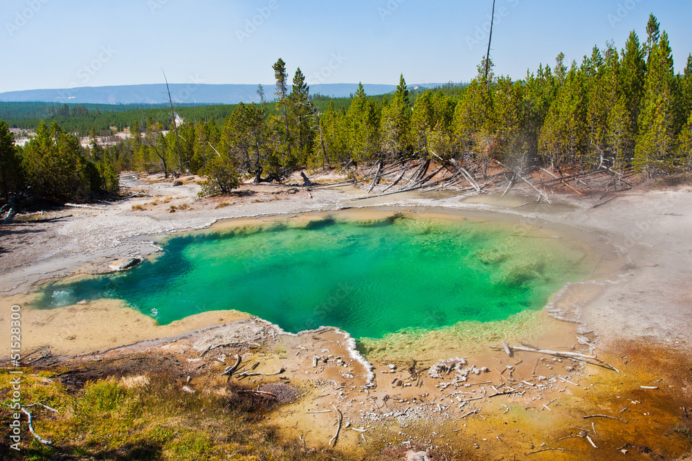 Emerald Hot Spring in Yellowstone National Park,USA Stock Photo | Adobe ...