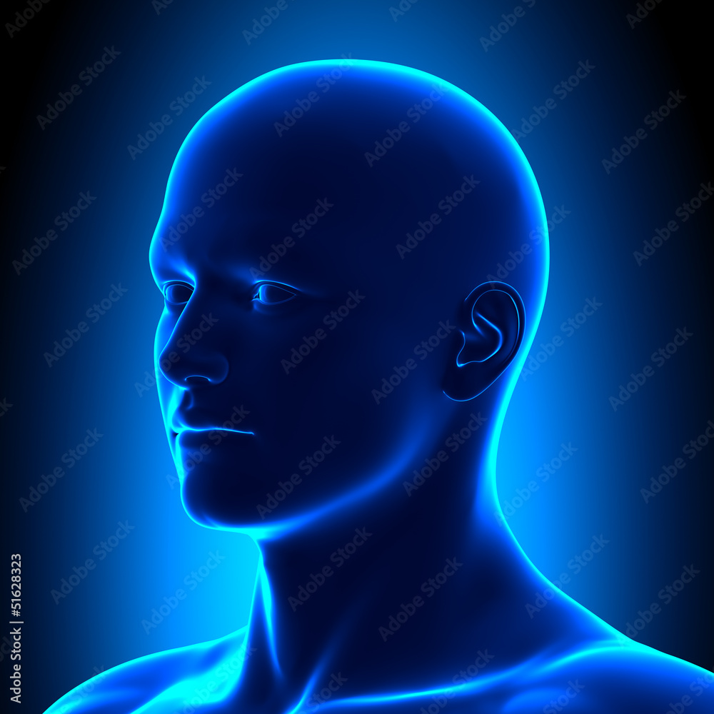 Anatomy Head - Iso View - Blue concept Stock Illustration | Adobe Stock