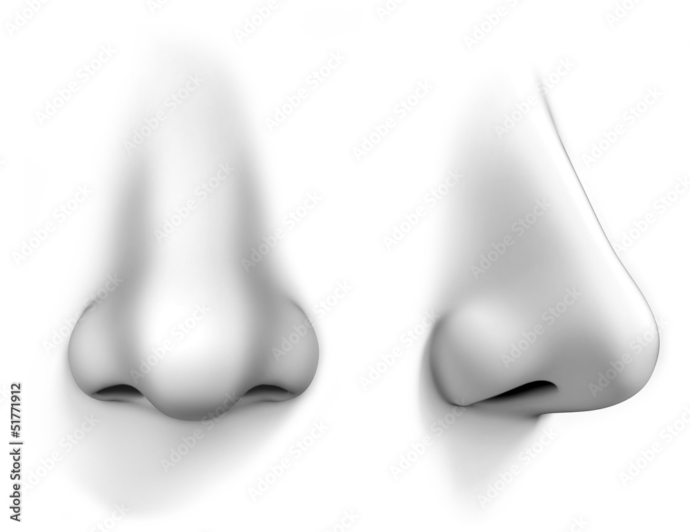 human nose isolates on white background Stock Illustration | Adobe Stock