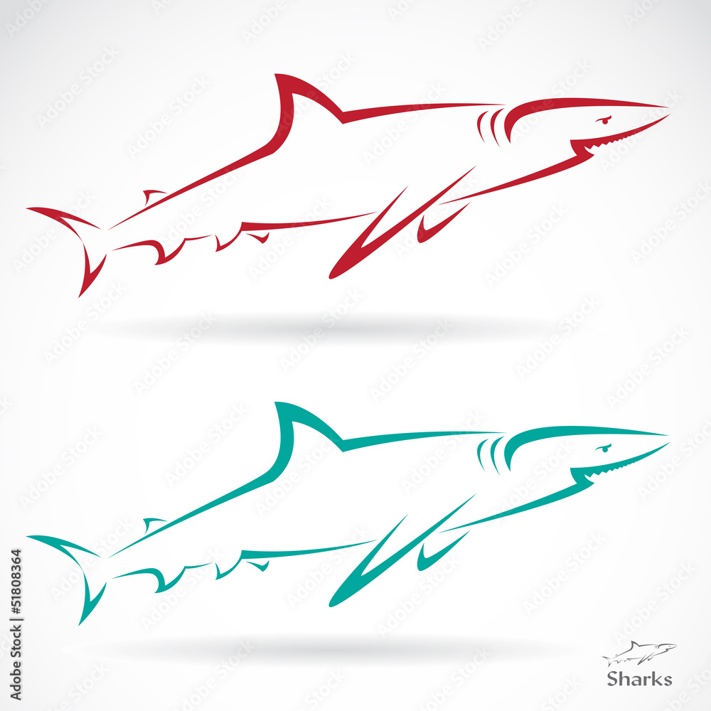 Vector illustration of shark banner on white background Stock Vector ...