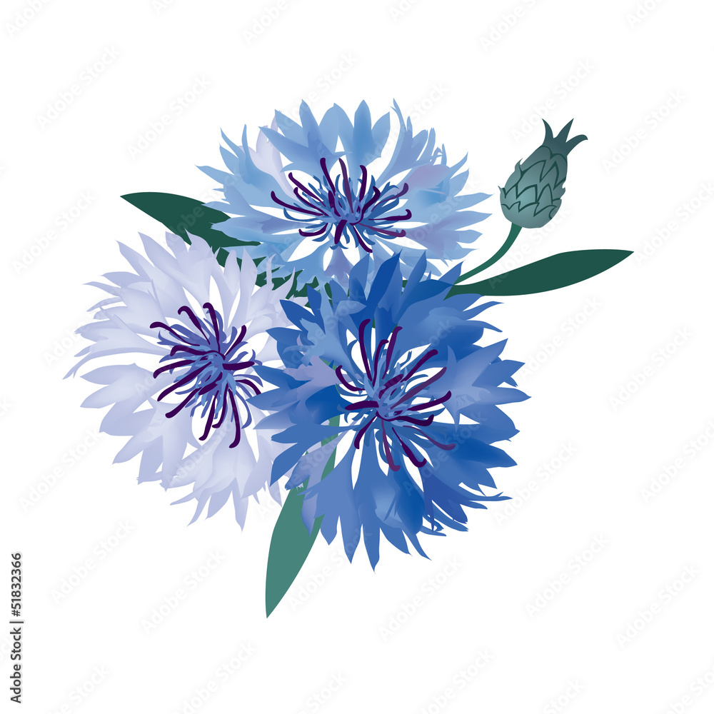 Blue Cornflower Bouquet