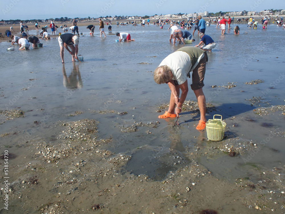 Pêche à pied Stock Photo | Adobe Stock