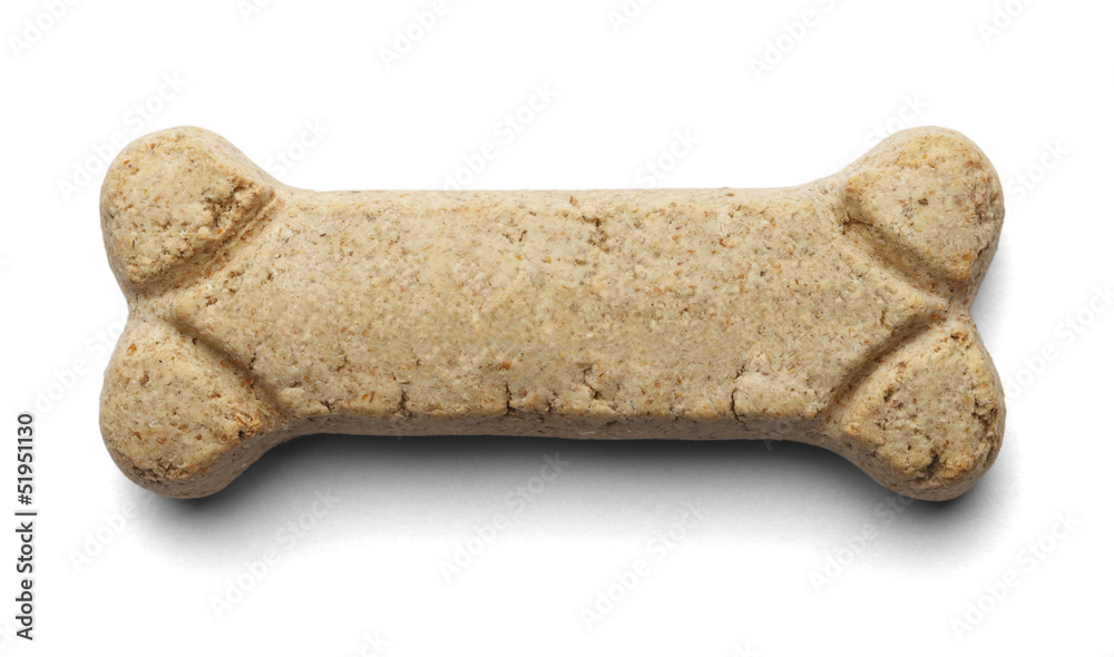 Dog Bone Stock Photo | Adobe Stock