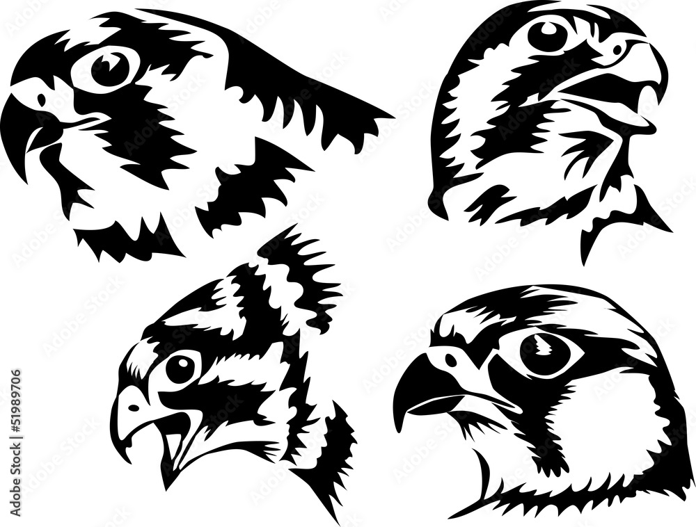 head of falcon Stock Vector | Adobe Stock
