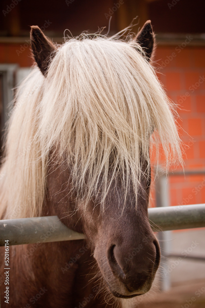 Windfarben Stock-Foto | Adobe Stock