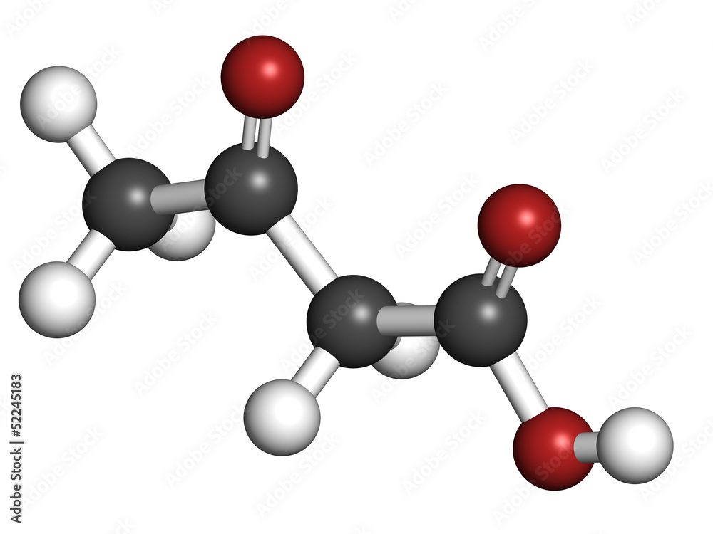 Ketone body (acetoacetic acid), molecular model Stock Illustration ...