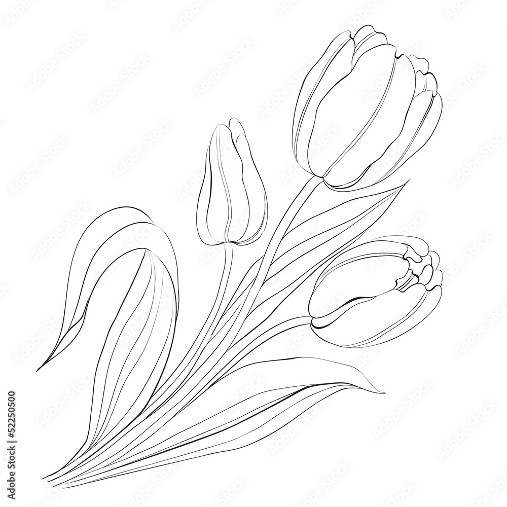 Hand drawn tulips. Stock Vector | Adobe Stock