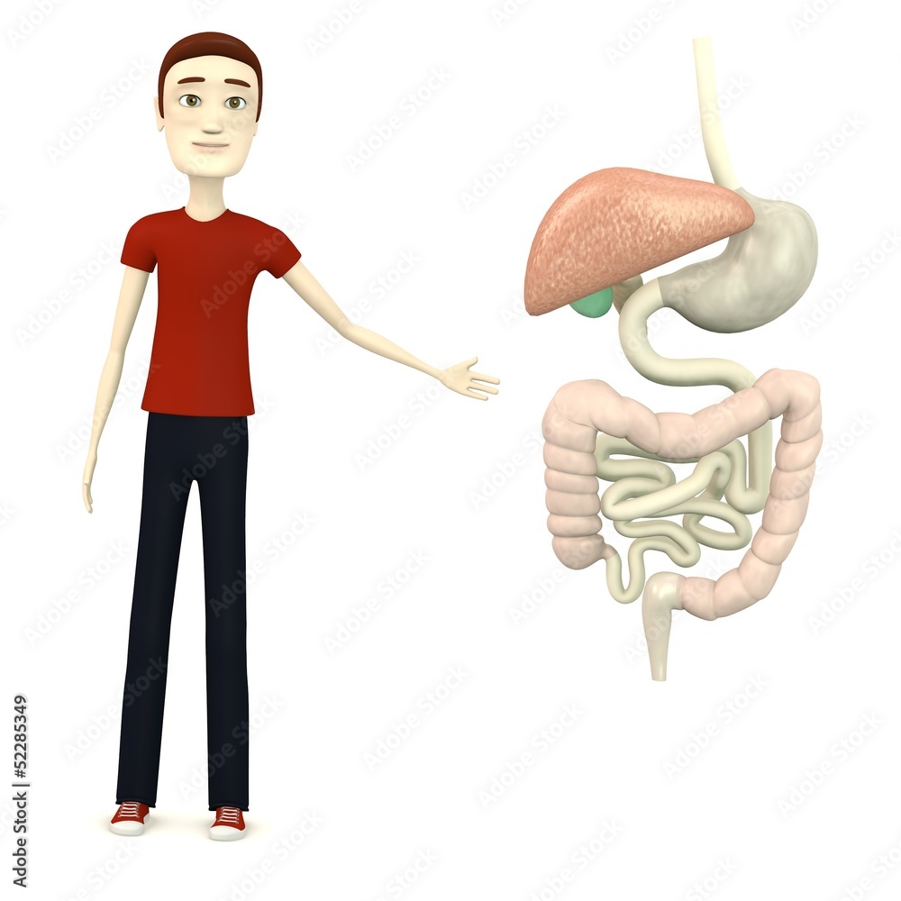 3d render of cartoon character with digestive system Stock Illustration ...