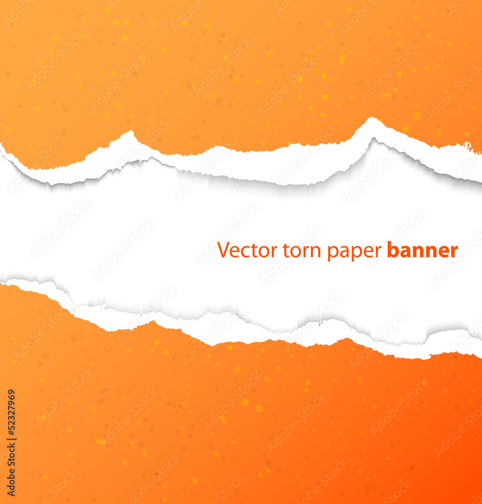 Torn paper banner Stock Vector | Adobe Stock