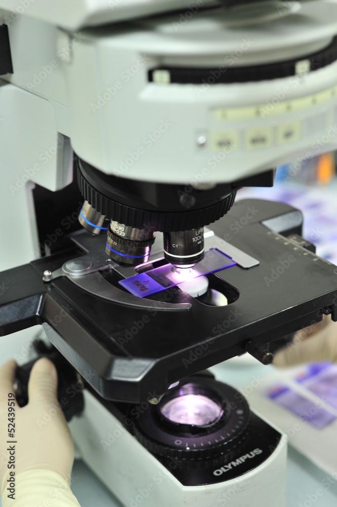 Microscope Stock Photo | Adobe Stock