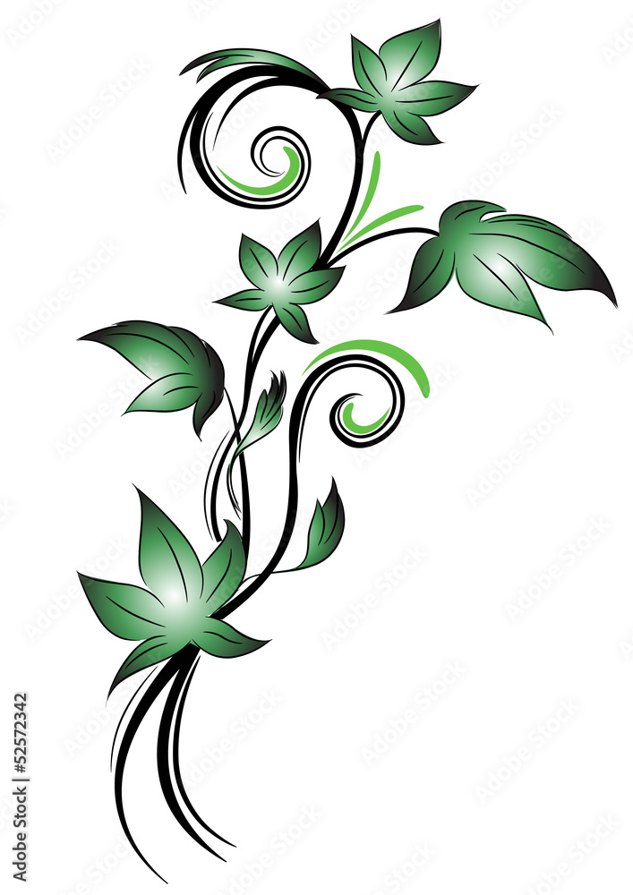 edera colorata decorazione Stock Vector | Adobe Stock