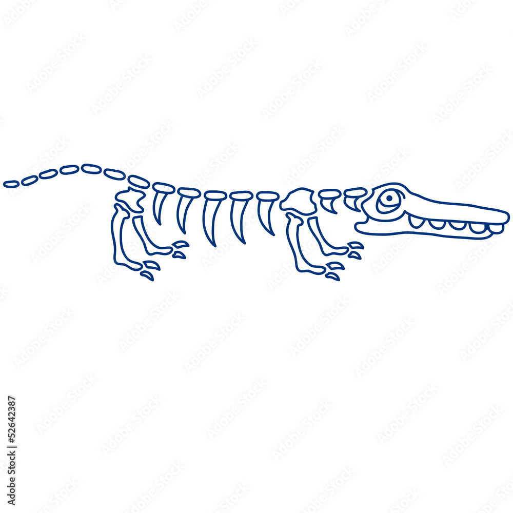 Crocodile Skeleton Stock Illustration | Adobe Stock