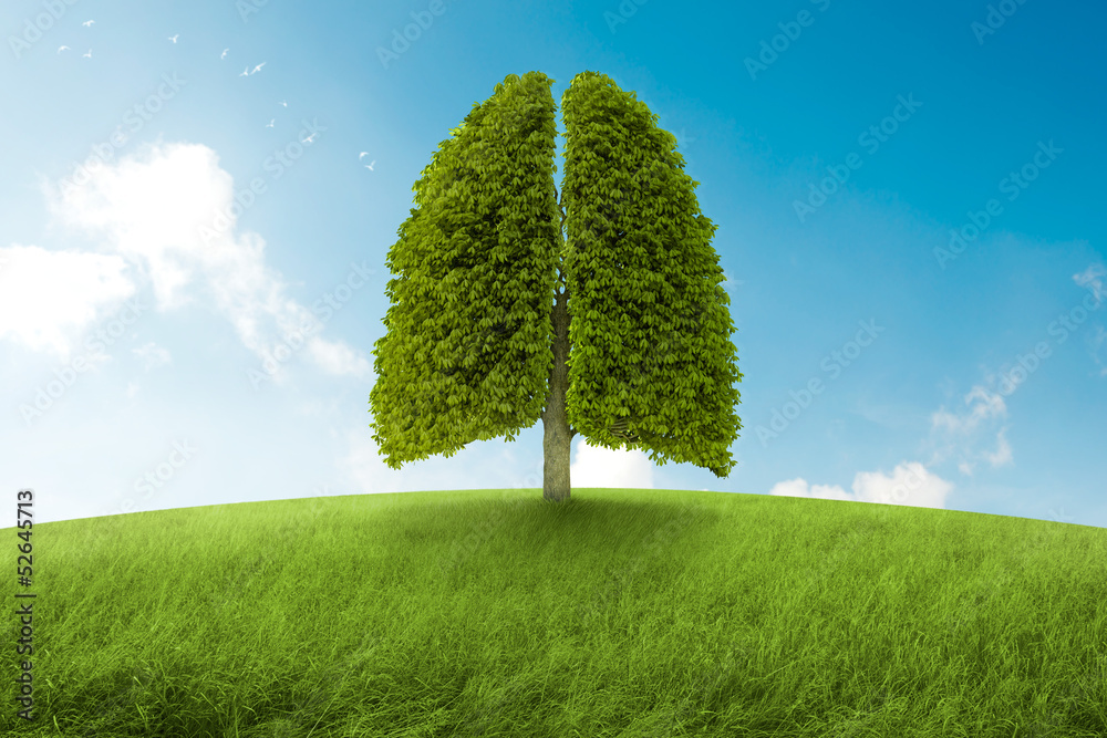 The lungs of Earth Stock Illustration | Adobe Stock