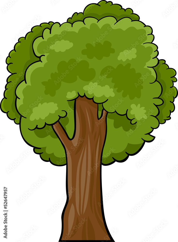 cartoon illustration of deciduous tree Stock Vector | Adobe Stock