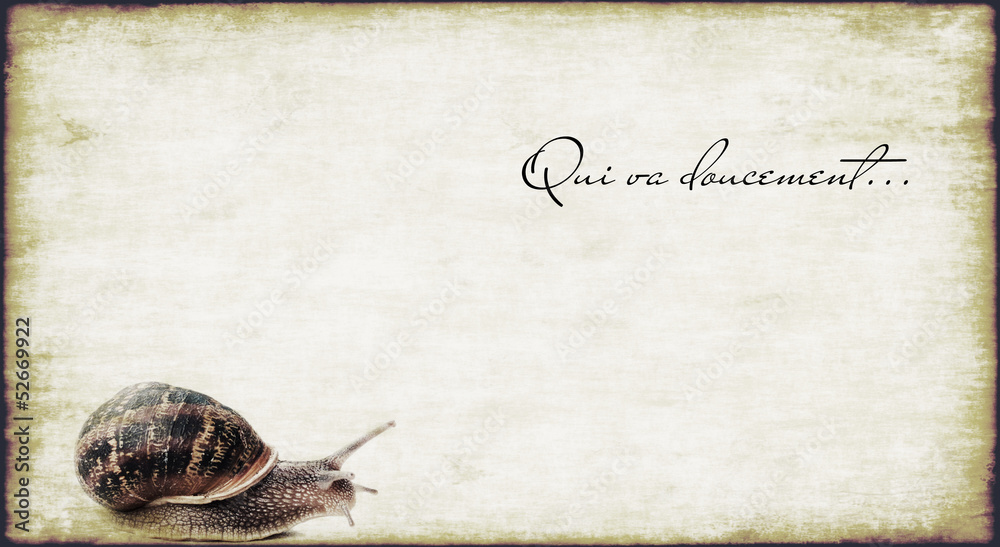 escargot et proverbe Stock Photo | Adobe Stock