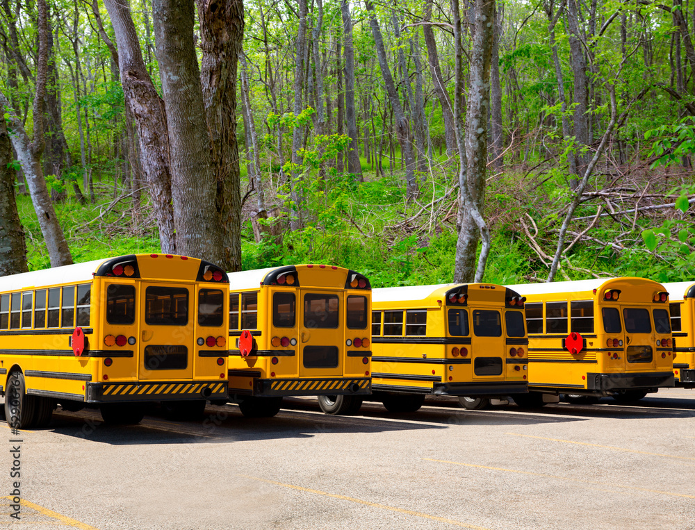 American typical school buses row in a forest outdoor Stock Photo ...