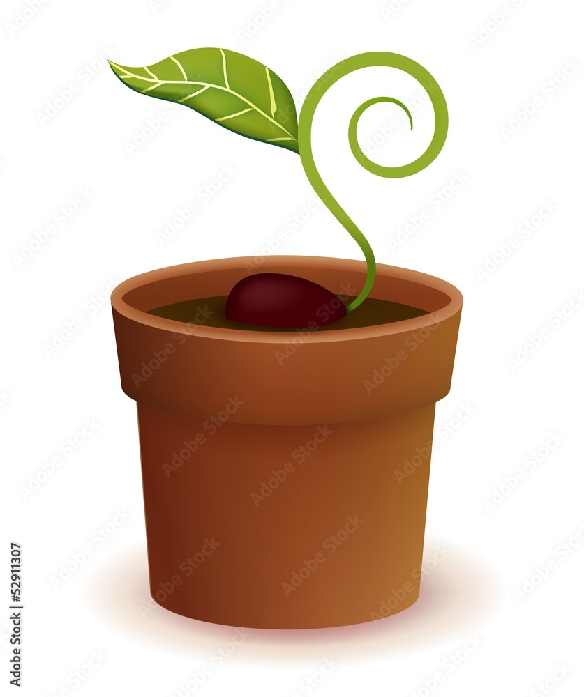 Plant Life Cycle Vector File Eps10 Stock Vector Adobe Stock