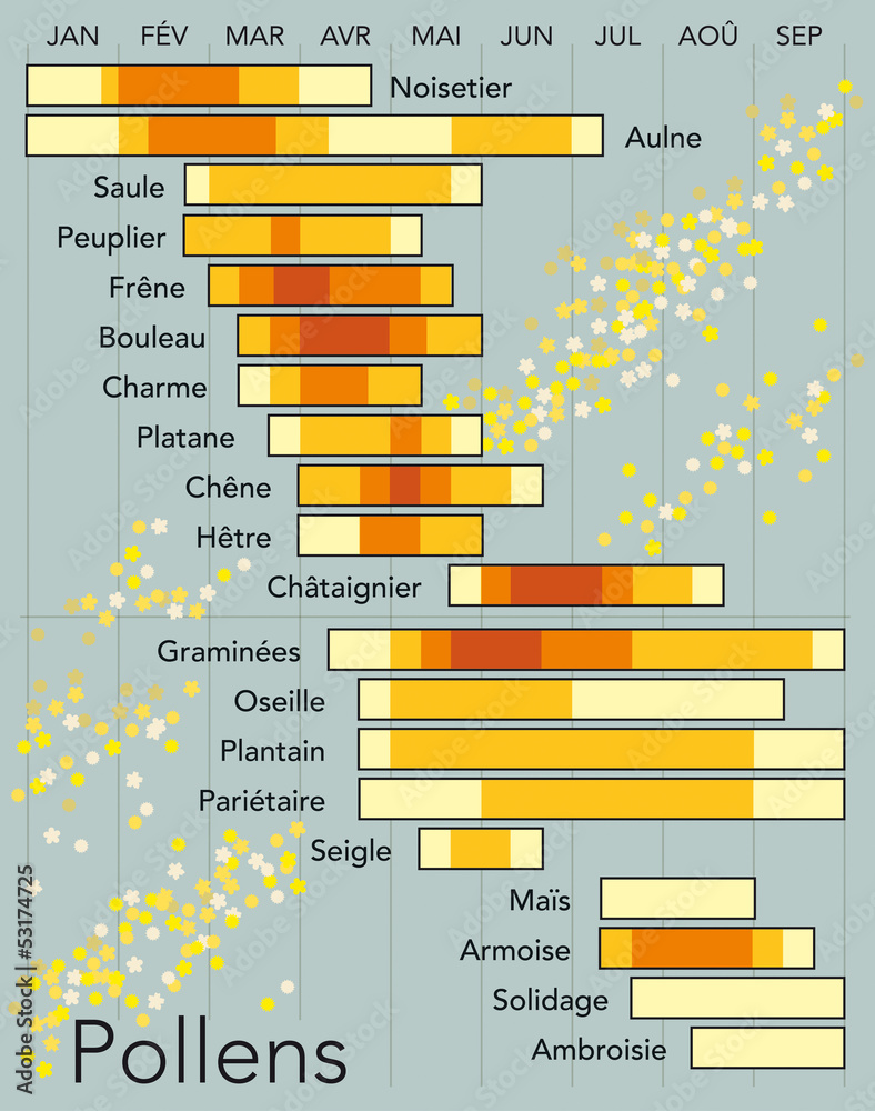 Calendrier des pollens B Stock Vector | Adobe Stock