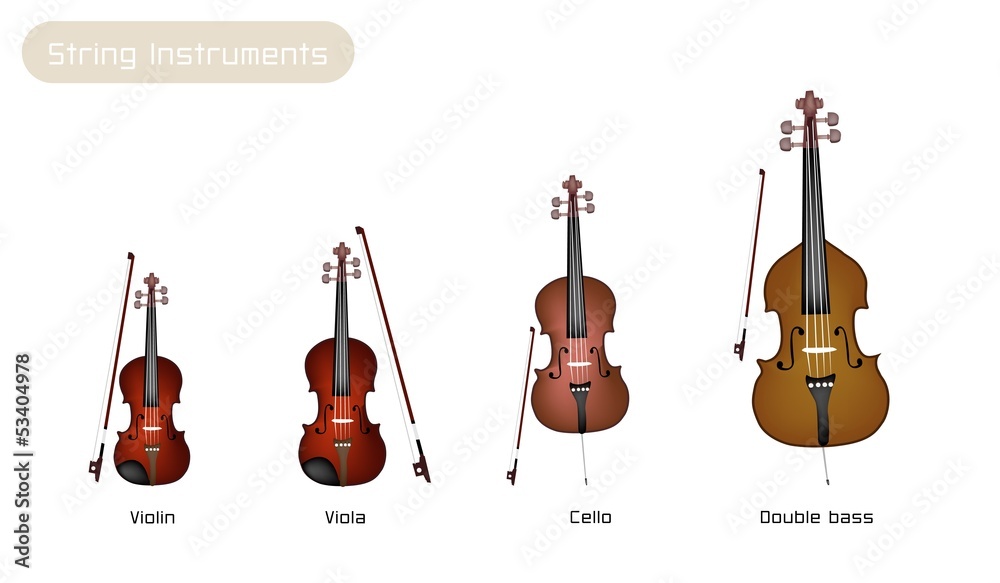 Four Musical Instrument Strings on White Background Stock Vector ...